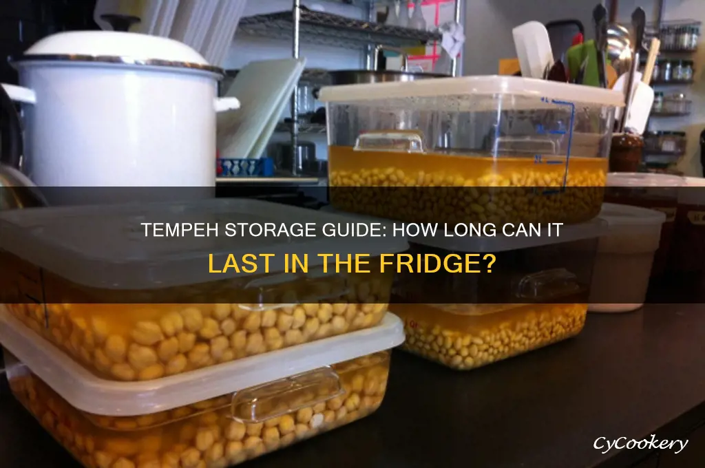 Tempeh Storage Guide: How Long Can It Last In The Fridge? | CyCookery