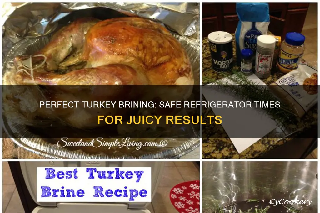 Perfect Turkey Brining: Safe Refrigerator Times For Juicy Results ...