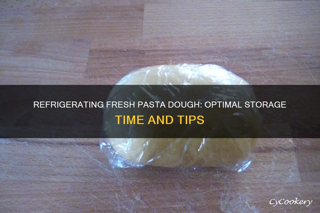 Refrigerating Fresh Pasta Dough: Optimal Storage Time And Tips | CyCookery