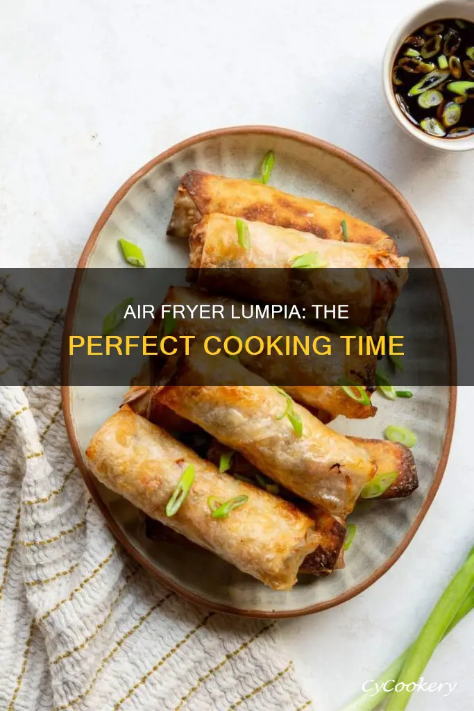 Air Fryer Lumpia: The Perfect Cooking Time | CyCookery