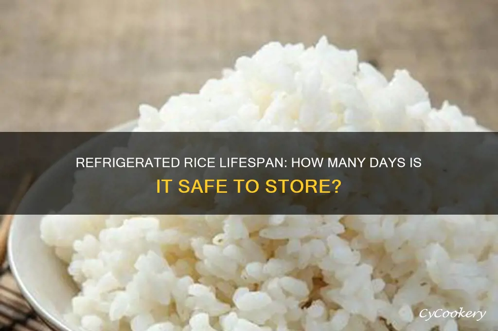 Refrigerated Rice Lifespan: How Many Days Is It Safe To Store? | CyCookery