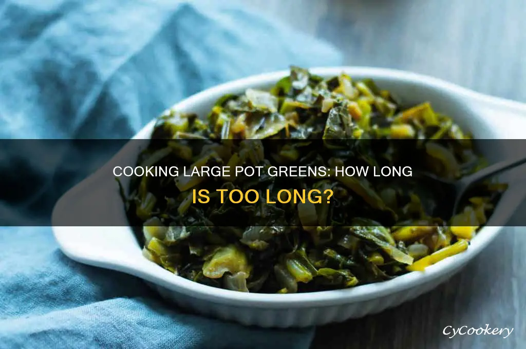 Cooking Large Pot Greens: How Long Is Too Long? | CyCookery