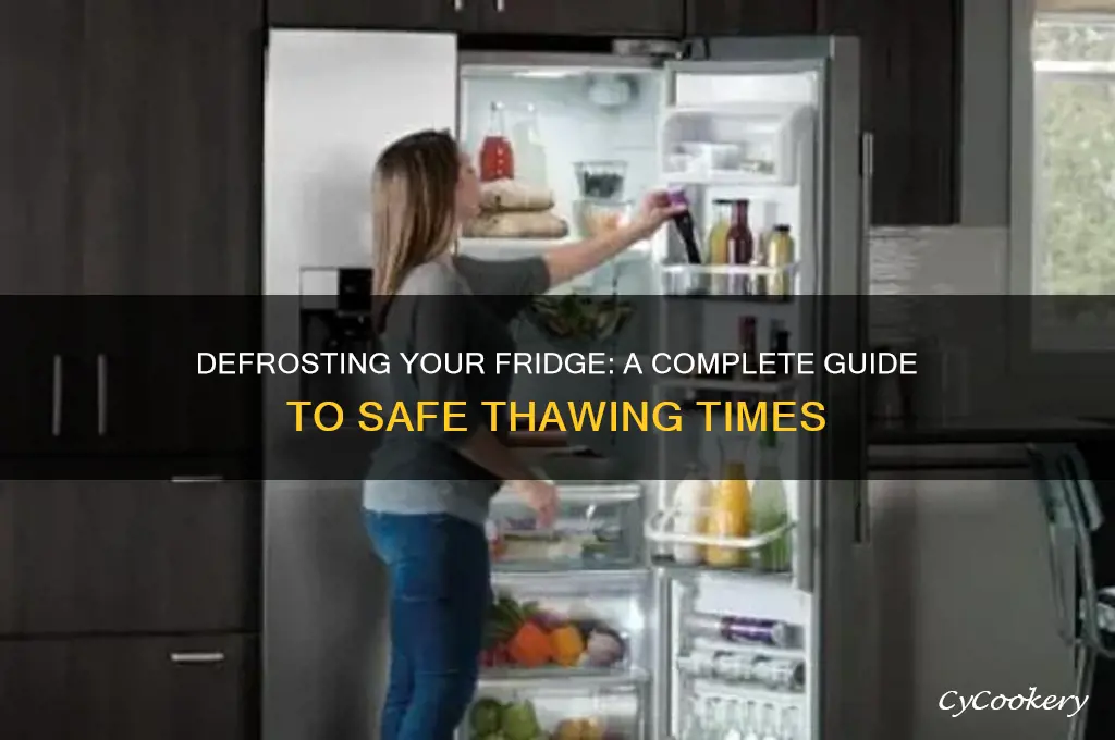 Defrosting Your Fridge: A Complete Guide To Safe Thawing Times | CyCookery