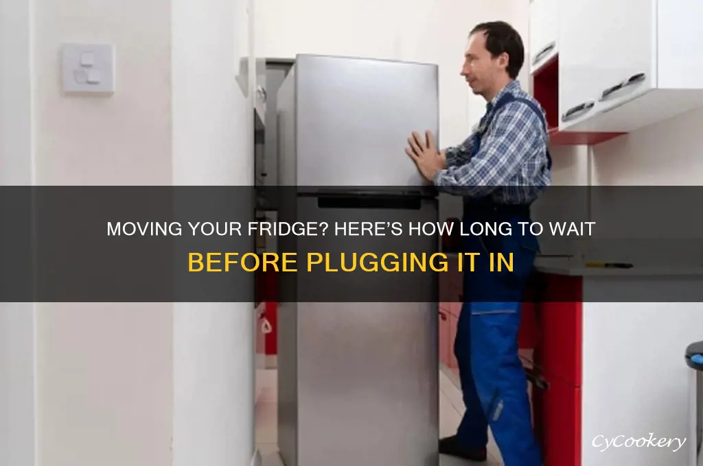 Moving Your Fridge? Here’S How Long To Wait Before Plugging It In ...