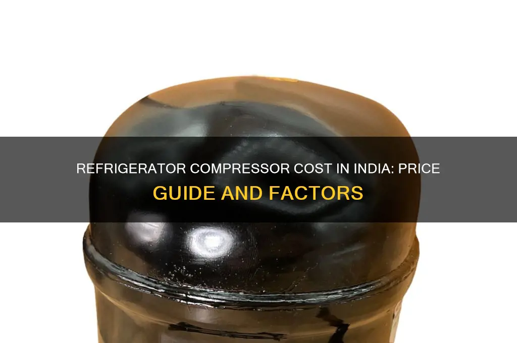 Refrigerator Compressor Cost In India: Price Guide And Factors | CyCookery