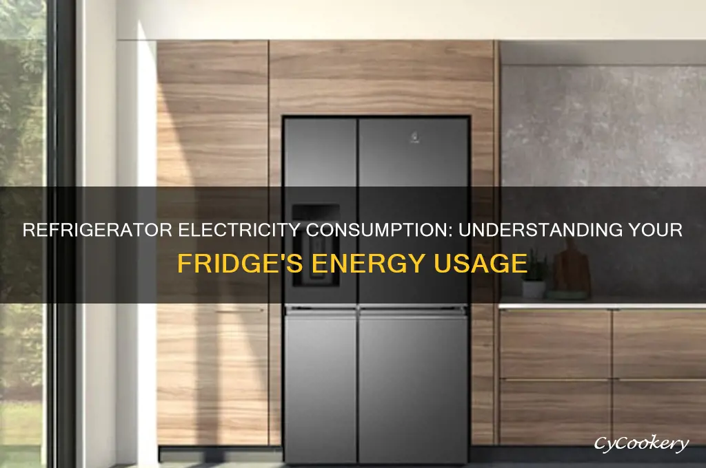 Refrigerator Electricity Consumption: Understanding Your Fridge's ...