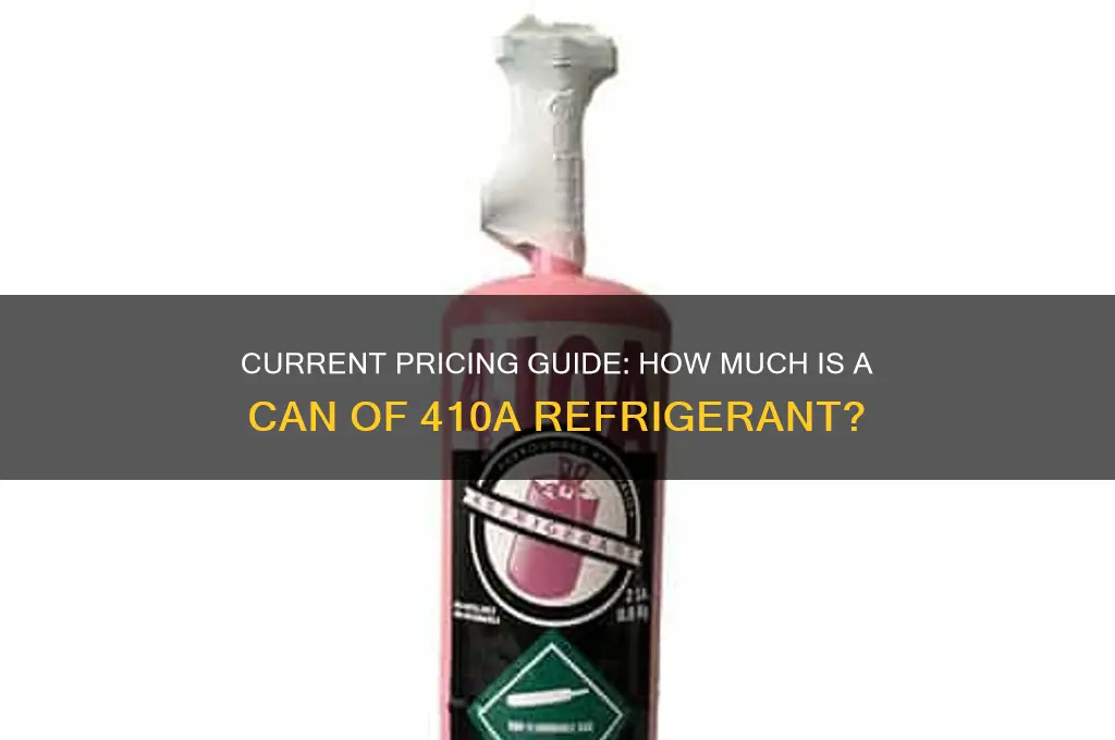 Current Pricing Guide: How Much Is A Can Of 410A Refrigerant? | CyCookery
