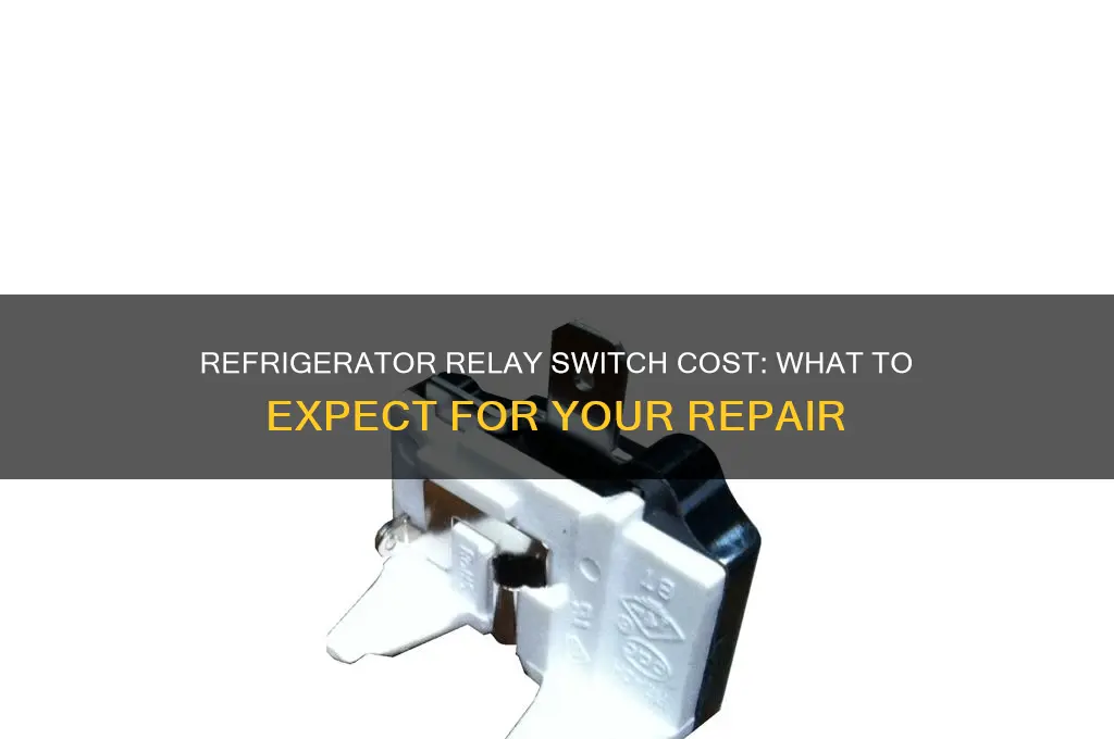 Refrigerator Relay Switch Cost: What To Expect For Your Repair | CyCookery
