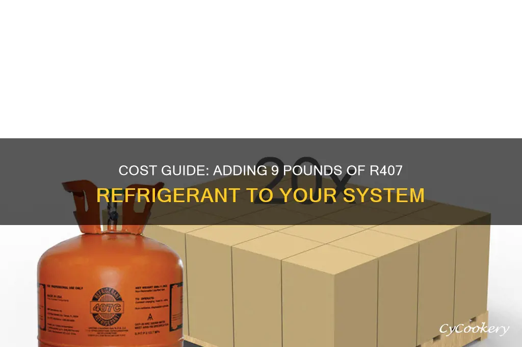 Cost Guide: Adding 9 Pounds Of R407 Refrigerant To Your System | CyCookery