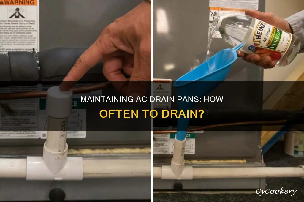 Maintaining Ac Drain Pans: How Often To Drain? | CyCookery