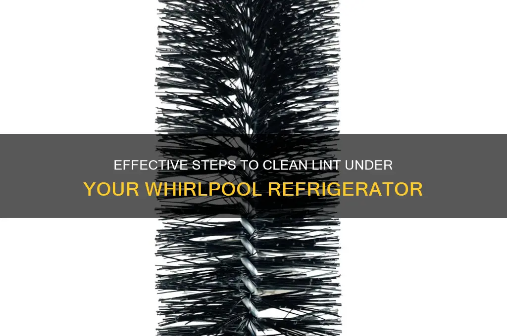 Effective Steps To Clean Lint Under Your Whirlpool Refrigerator | CyCookery