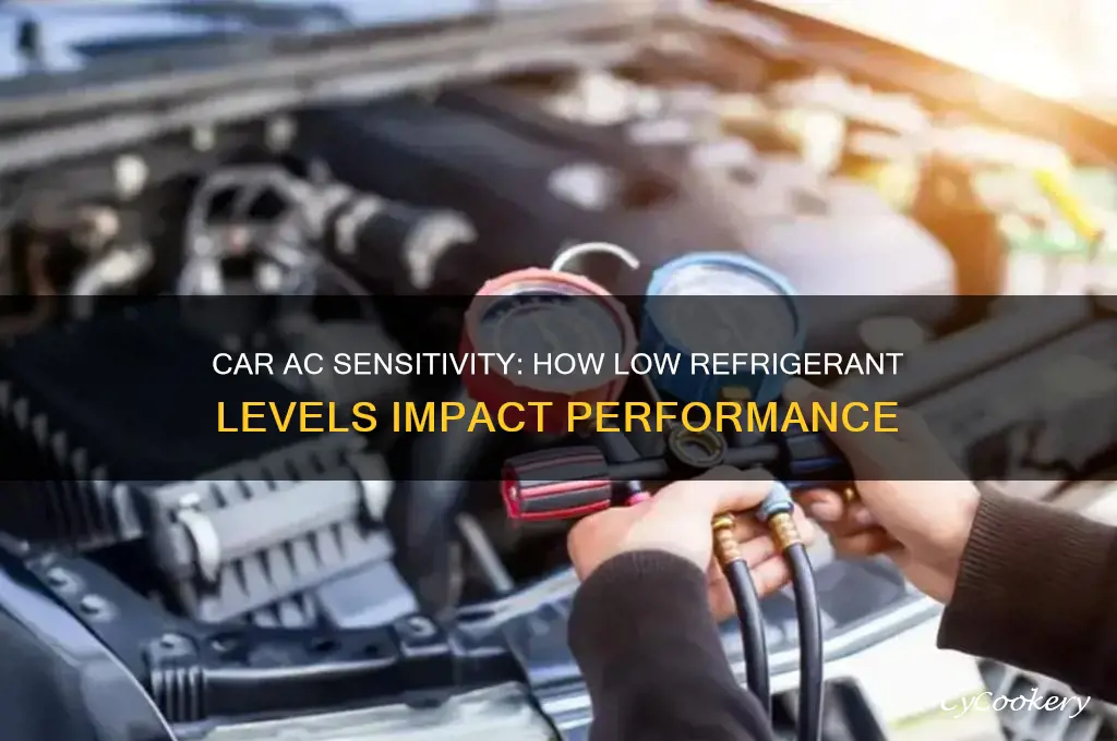 Car Ac Sensitivity: How Low Refrigerant Levels Impact Performance ...