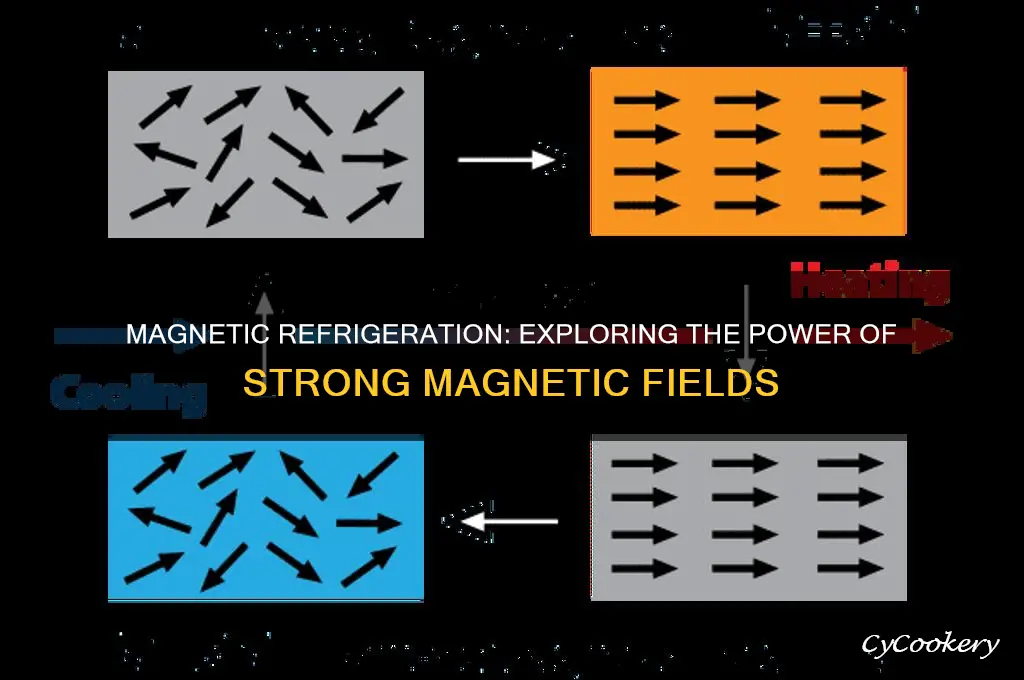 Magnetic Refrigeration: Exploring The Power Of Strong Magnetic Fields ...