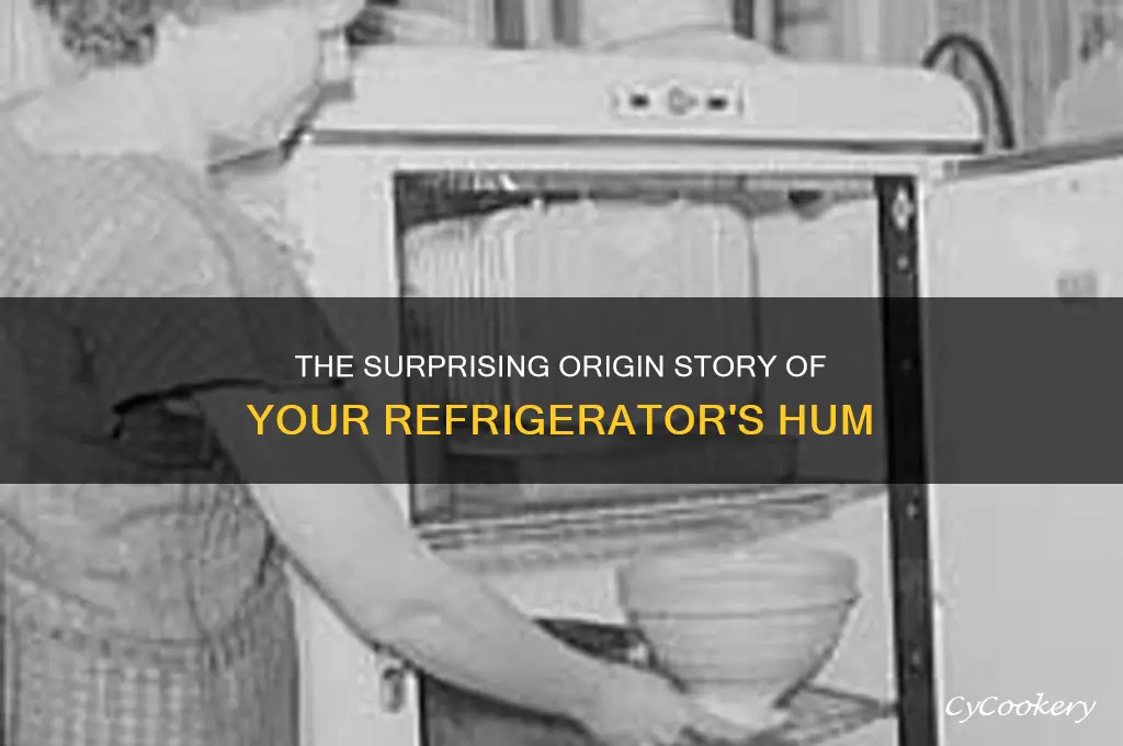 The Surprising Origin Story Of Your Refrigerator's Hum | CyCookery
