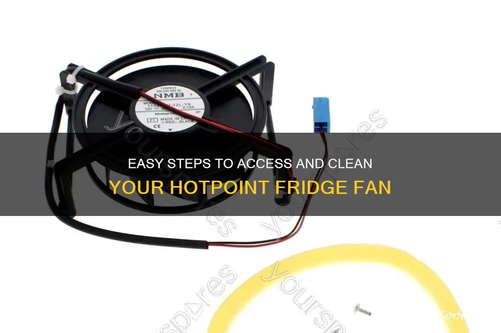 Easy Steps To Access And Clean Your Hotpoint Fridge Fan | CyCookery