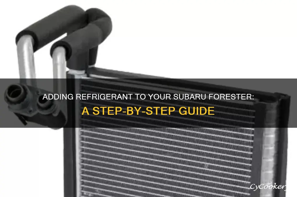 Adding Refrigerant To Your Subaru Forester: A Step-By-Step Guide ...