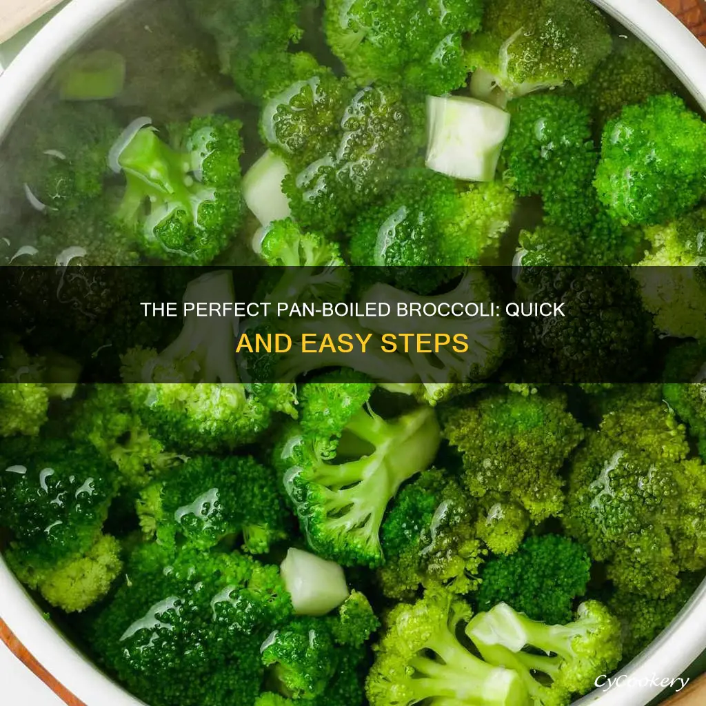 The Perfect Pan-Boiled Broccoli: Quick And Easy Steps | CyCookery