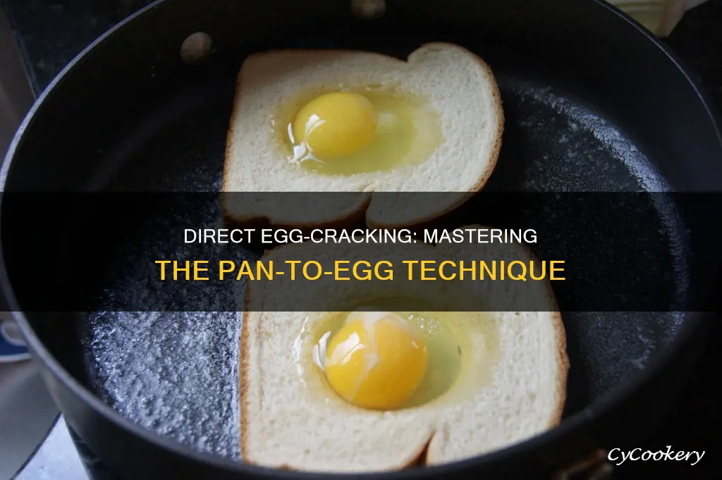 Direct Egg-Cracking: Mastering The Pan-To-Egg Technique | CyCookery