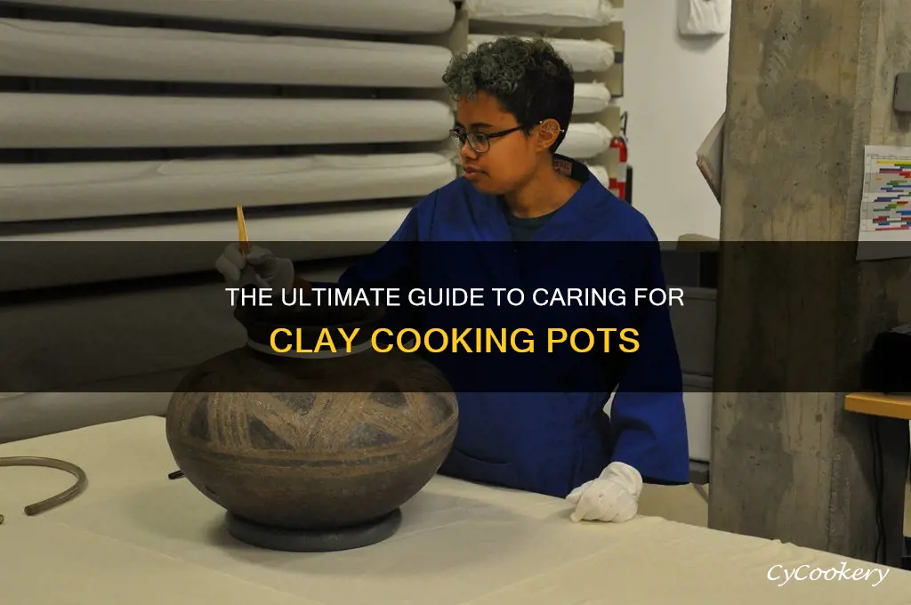 The Ultimate Guide To Caring For Clay Cooking Pots | CyCookery