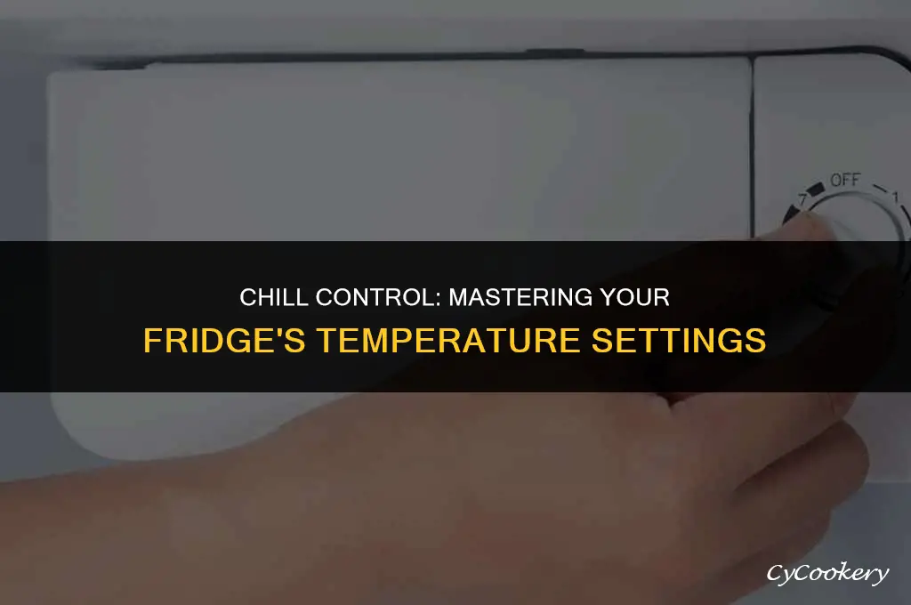 Chill Control: Mastering Your Fridge's Temperature Settings | CyCookery
