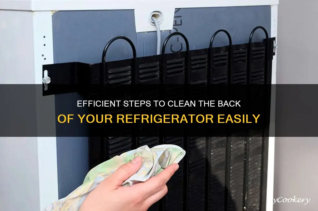 Efficient Steps To Clean The Back Of Your Refrigerator Easily | CyCookery