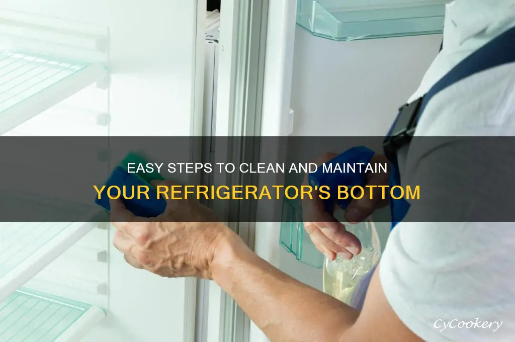 Easy Steps To Clean And Maintain Your Refrigerator's Bottom | CyCookery