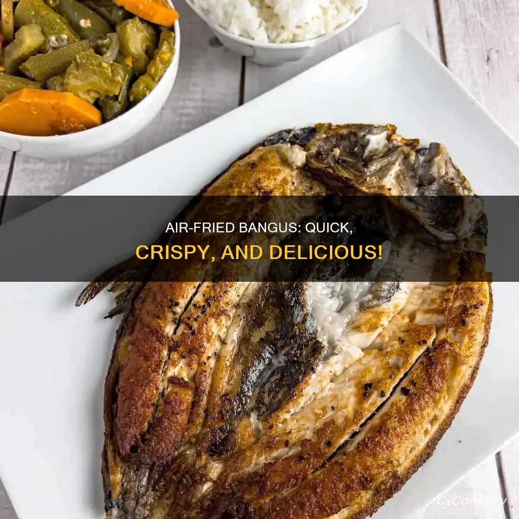 Air-Fried Bangus: Quick, Crispy, And Delicious! | CyCookery