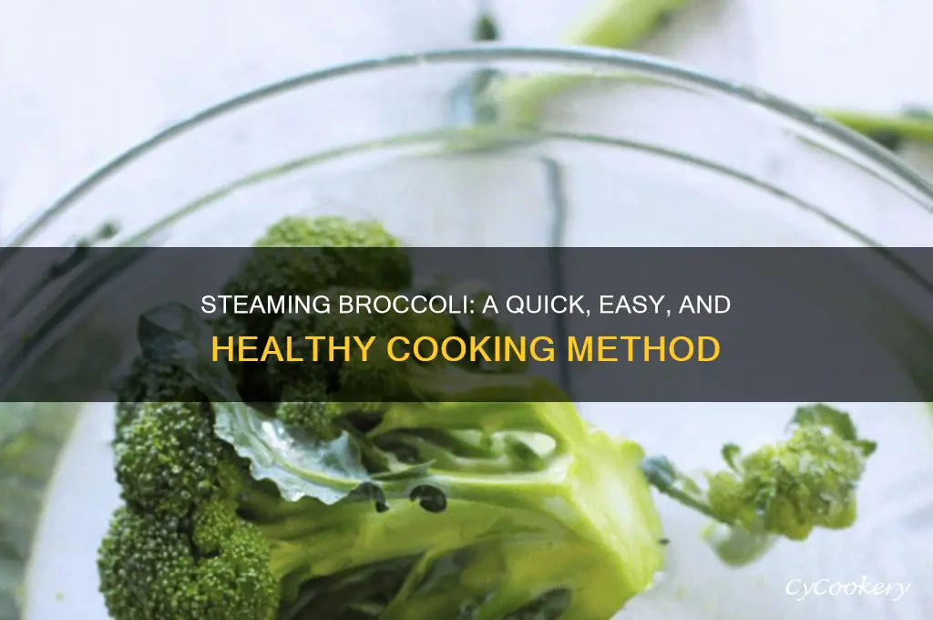 Steaming Broccoli: A Quick, Easy, And Healthy Cooking Method | CyCookery