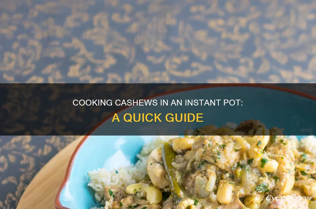 Cooking Cashews In An Instant Pot: A Quick Guide | CyCookery