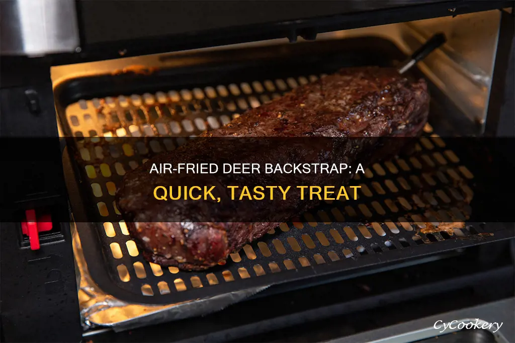 Air-Fried Deer Backstrap: A Quick, Tasty Treat | CyCookery