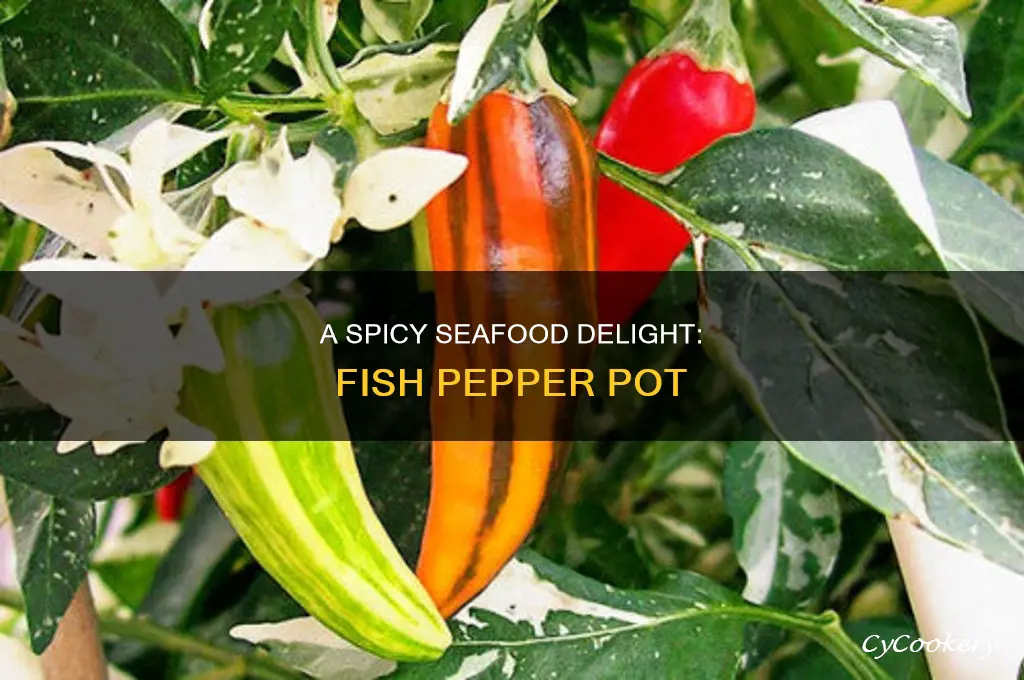 A Spicy Seafood Delight: Fish Pepper Pot | CyCookery