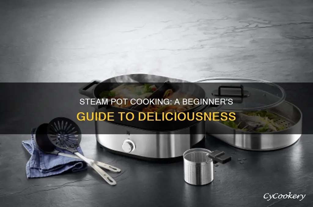 Steam Pot Cooking: A Beginner's Guide To Deliciousness | CyCookery