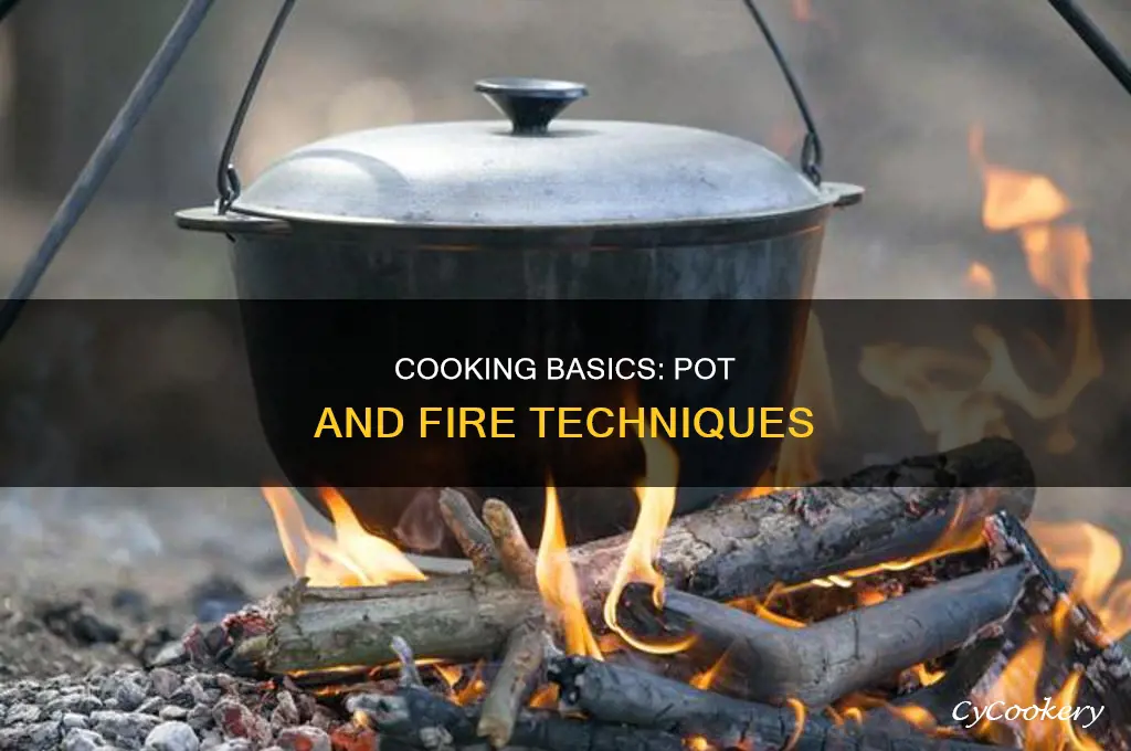 Cooking Basics: Pot And Fire Techniques | CyCookery