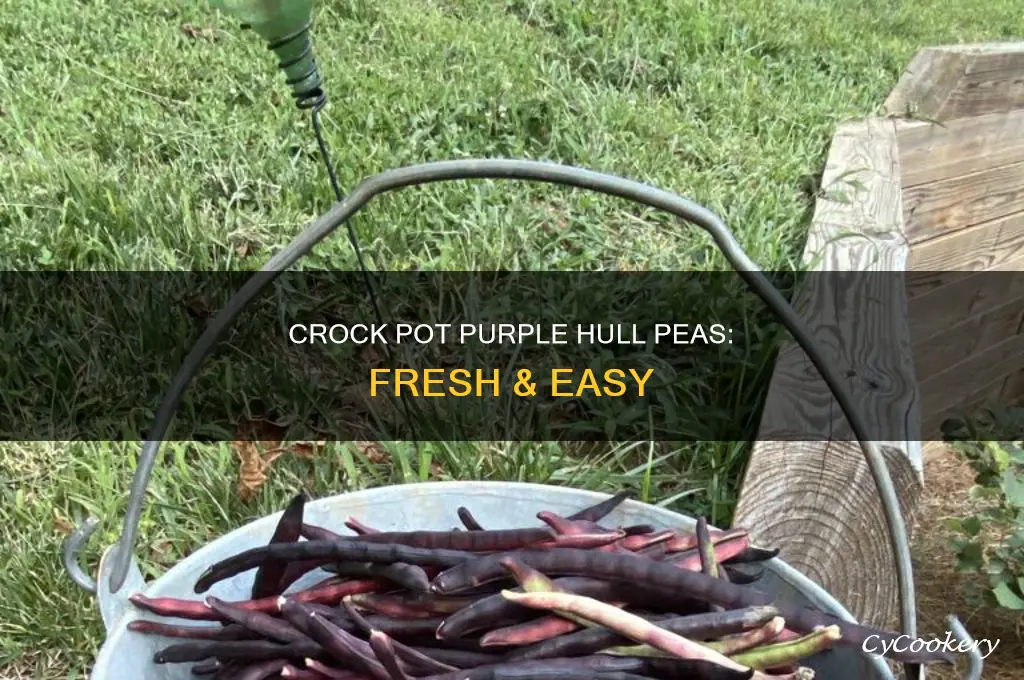 Crock Pot Purple Hull Peas: Fresh & Easy | CyCookery