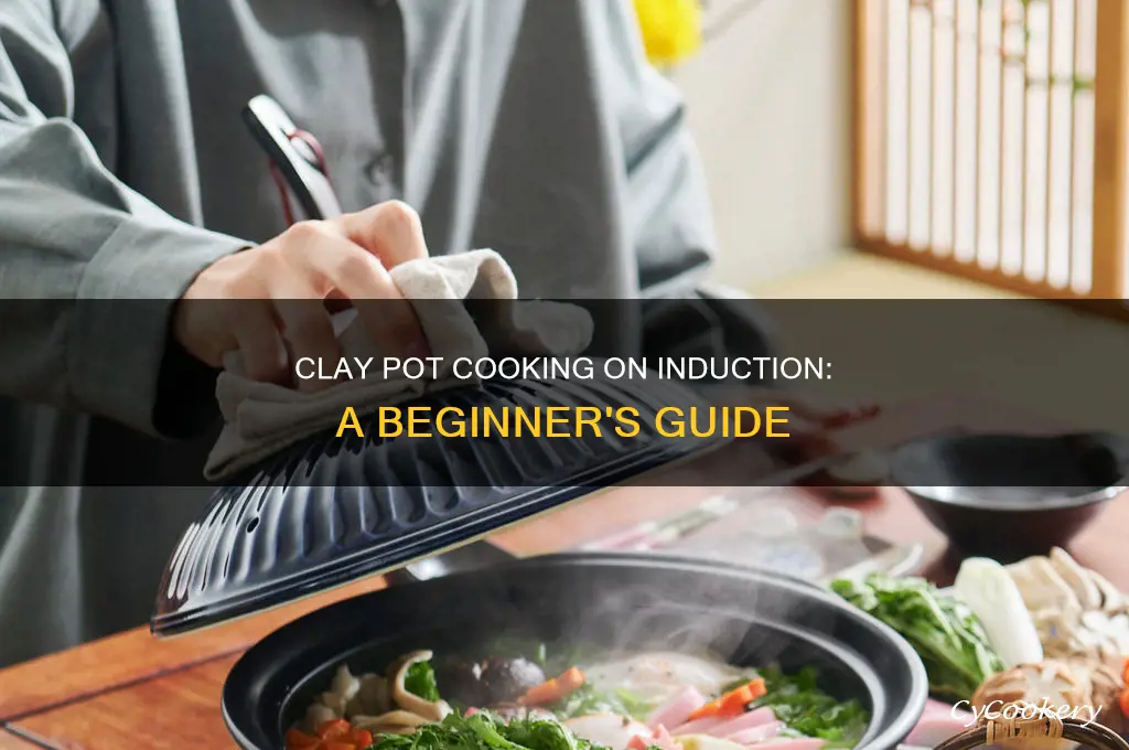 Clay Pot Cooking On Induction: A Beginner's Guide | CyCookery