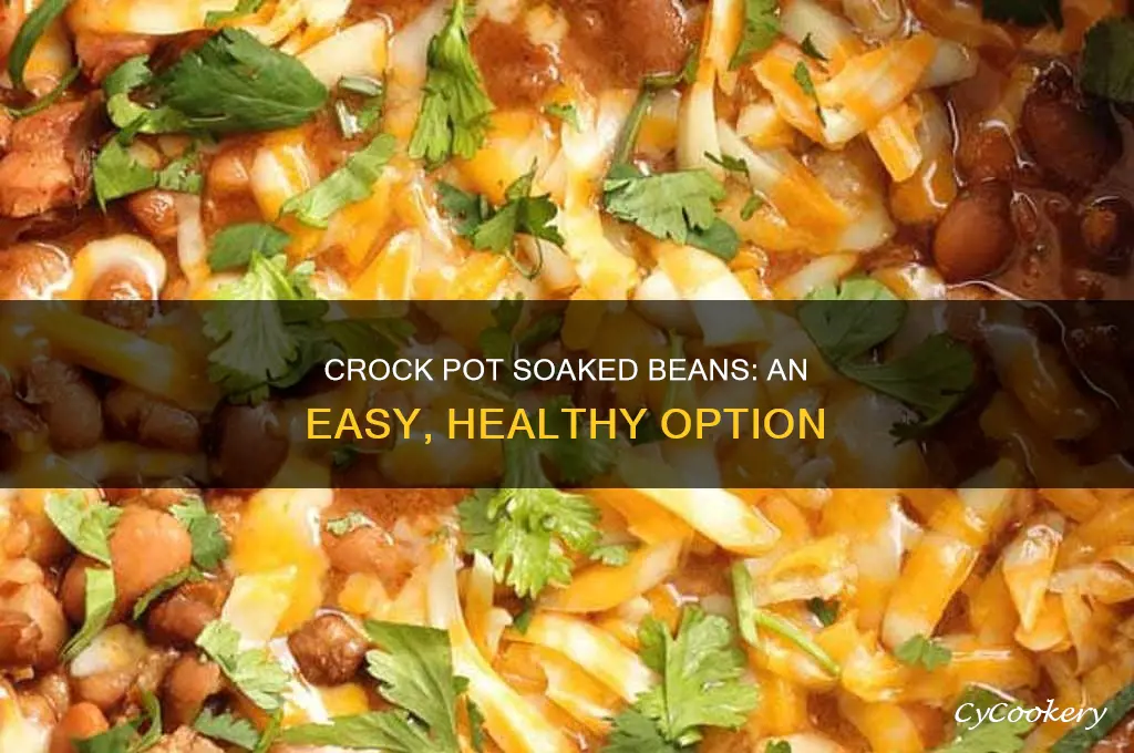 Crock Pot Soaked Beans: An Easy, Healthy Option | CyCookery