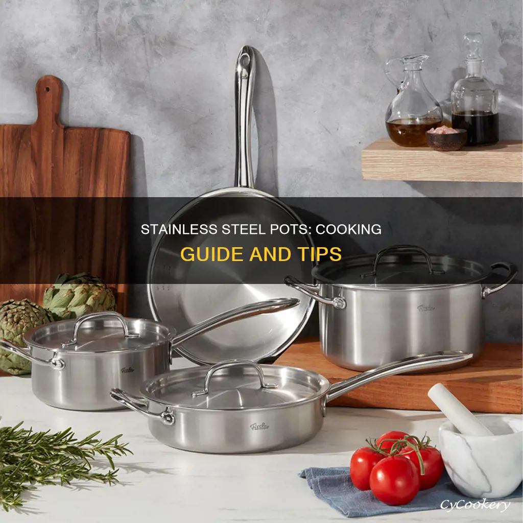 Stainless Steel Pots: Cooking Guide And Tips | CyCookery