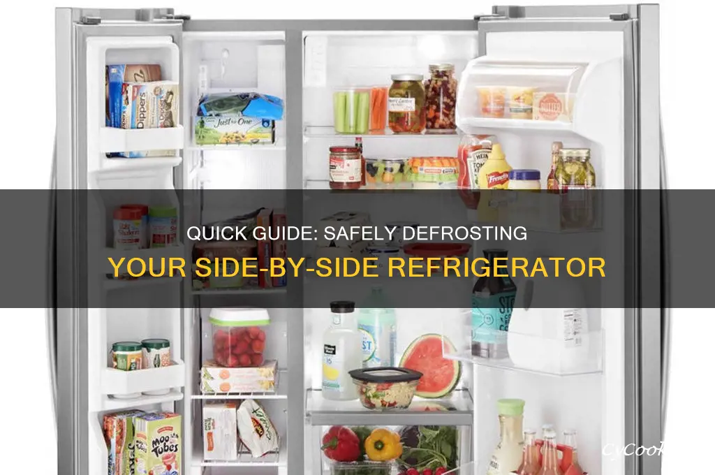 Quick Guide: Safely Defrosting Your Side-By-Side Refrigerator | CyCookery