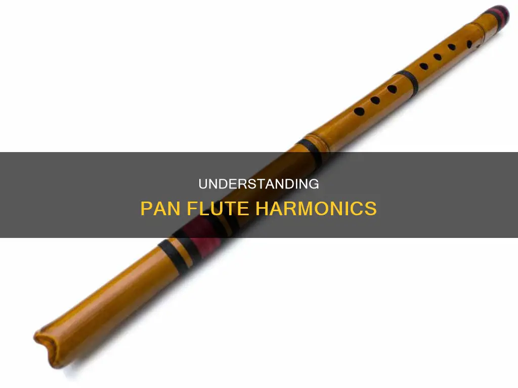 Understanding Pan Flute Harmonics | CyCookery