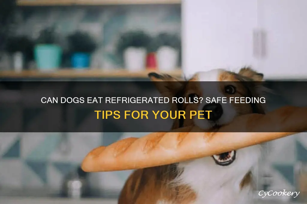 Can Dogs Eat Refrigerated Rolls? Safe Feeding Tips For Your Pet | CyCookery