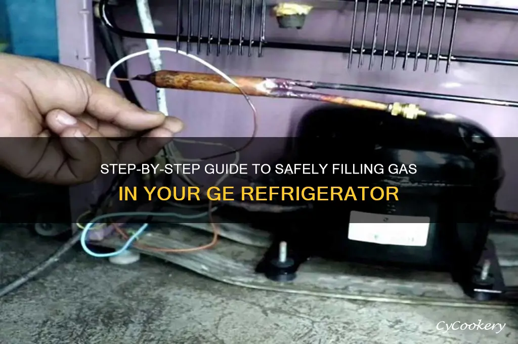 Step-By-Step Guide To Safely Filling Gas In Your Ge Refrigerator ...