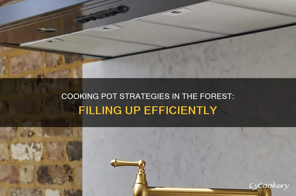 Cooking Pot Strategies In The Forest: Filling Up Efficiently | CyCookery