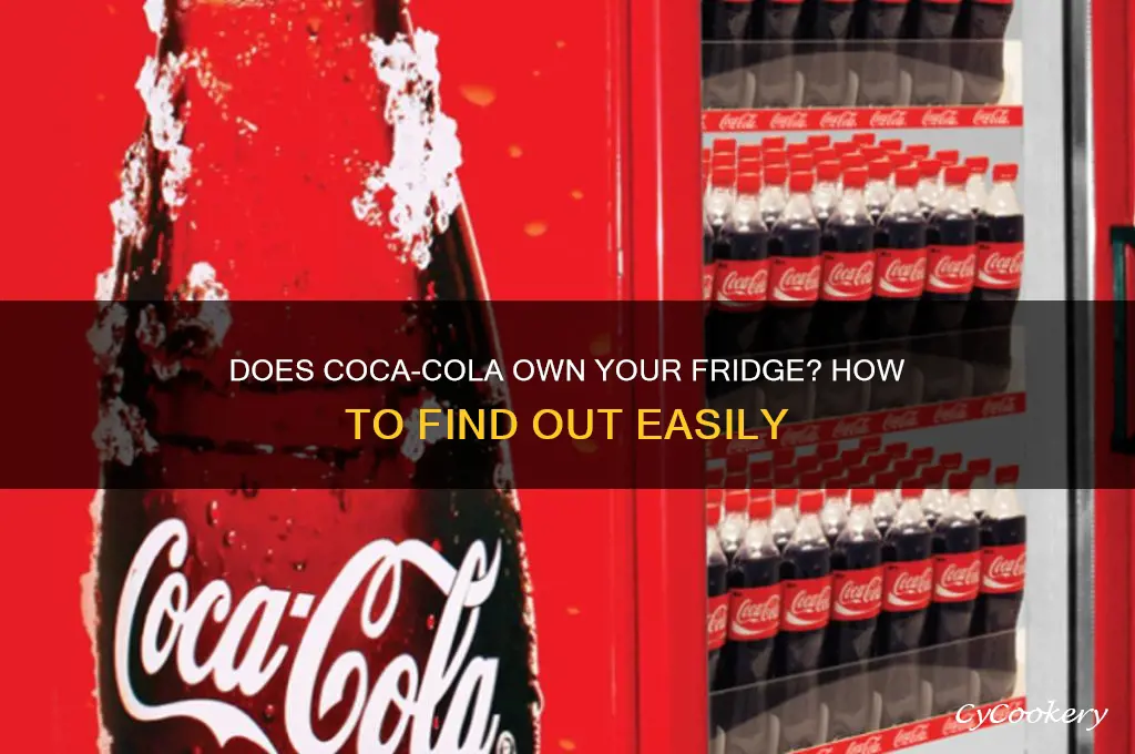 Does Coca-Cola Own Your Fridge? How To Find Out Easily | CyCookery