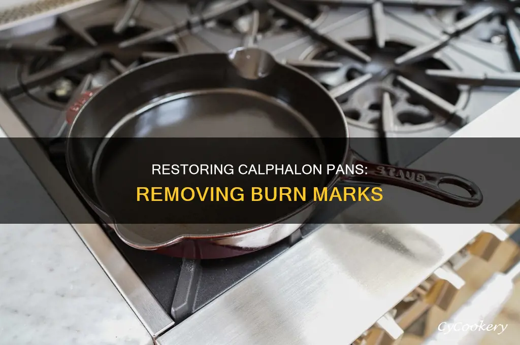 Restoring Calphalon Pans: Removing Burn Marks | CyCookery