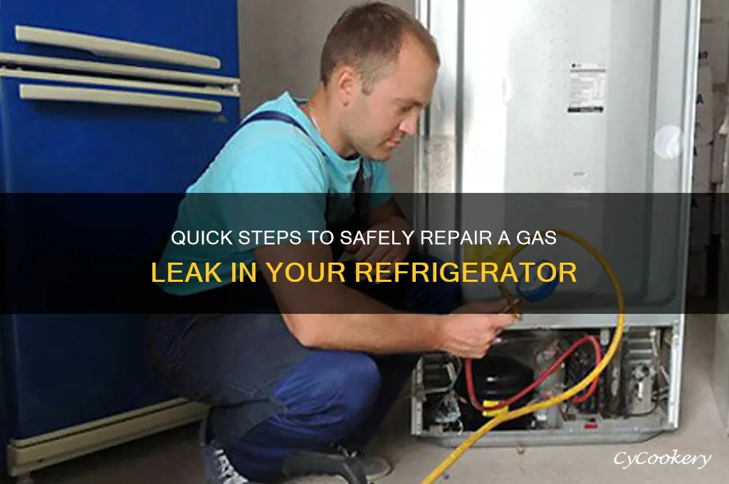 Quick Steps To Safely Repair A Gas Leak In Your Refrigerator | CyCookery