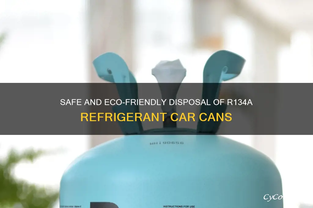 Safe And Eco-Friendly Disposal Of R134a Refrigerant Car Cans | CyCookery