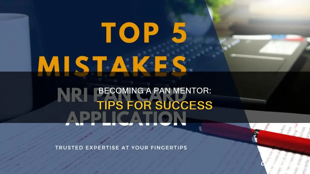 Becoming A Pan Mentor: Tips For Success | CyCookery