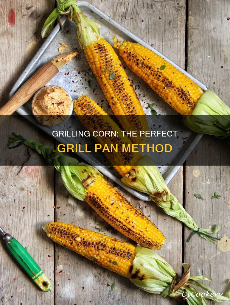 Grilling Corn: The Perfect Grill Pan Method | CyCookery