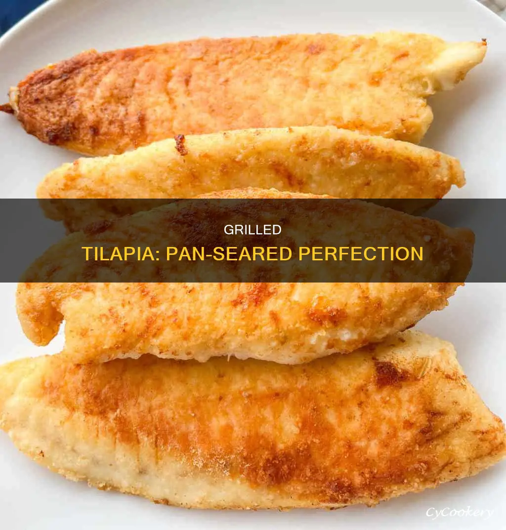 Grilled Tilapia: Pan-Seared Perfection | CyCookery