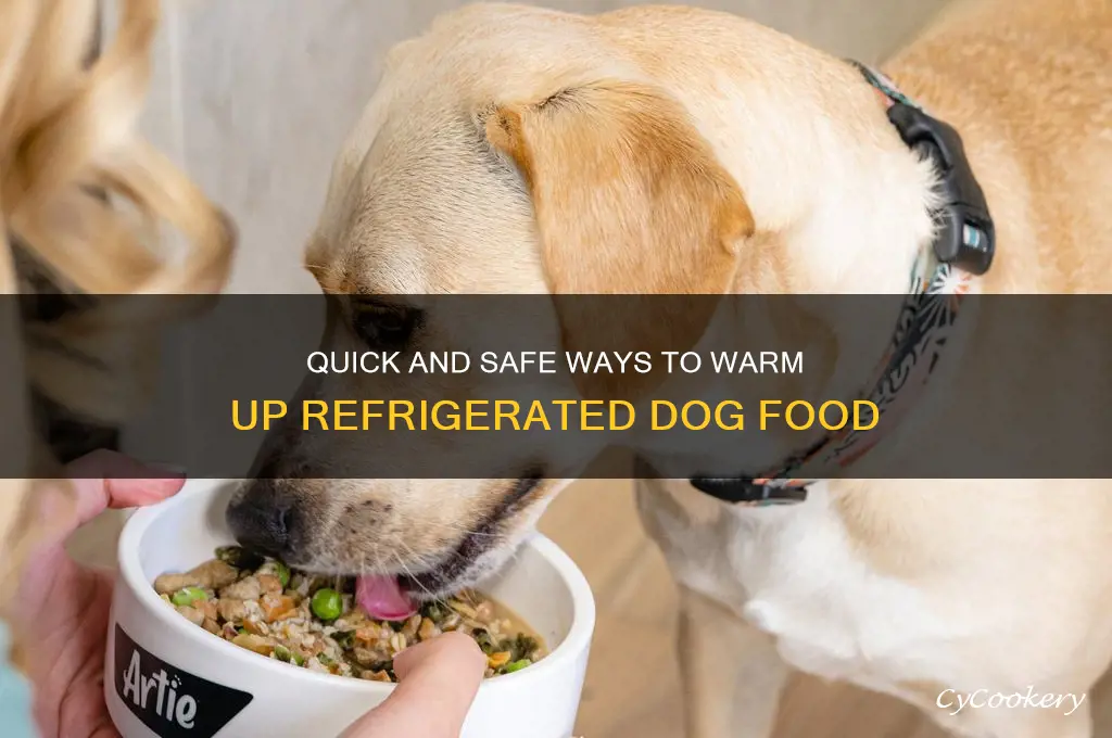 Quick And Safe Ways To Warm Up Refrigerated Dog Food | CyCookery